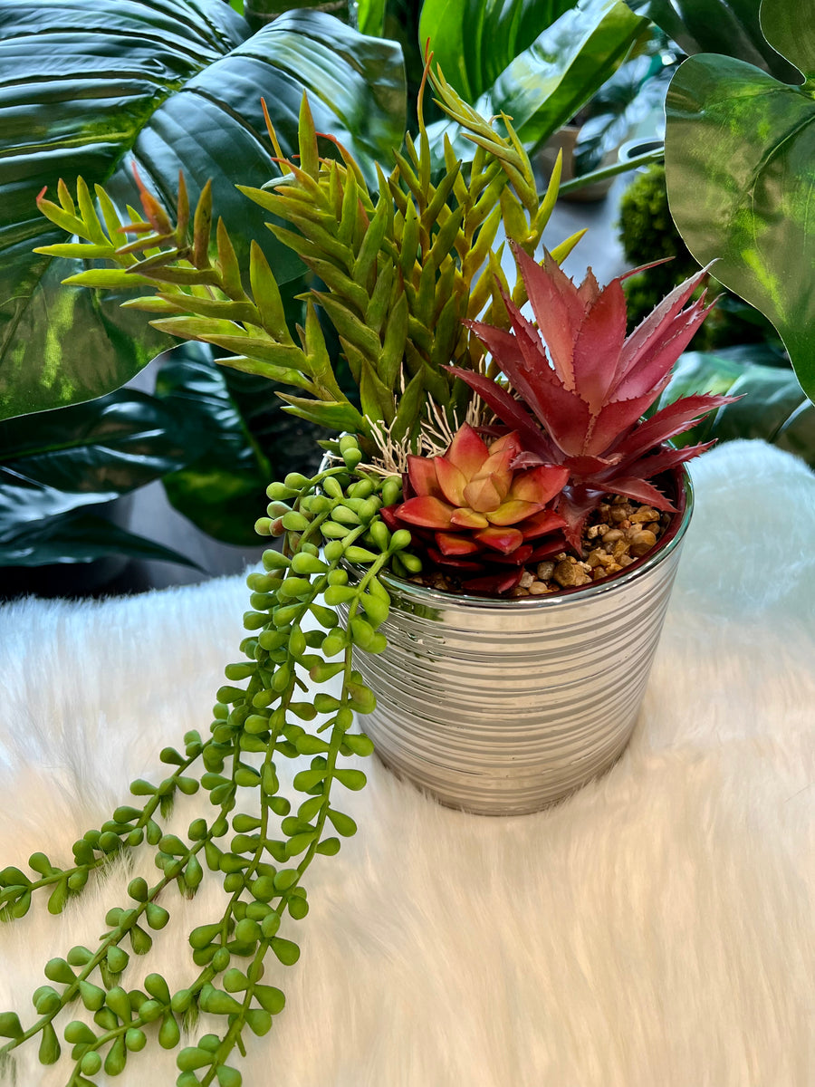 12" Artificial Plant in Silver Ceramic Pot | Succulent Arrangement wit ...