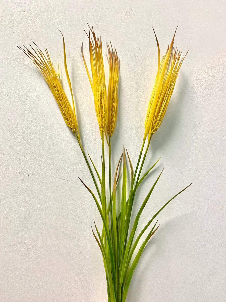 Long Stem Wheat Stem Branches in Green & Yellow – Papiyona
